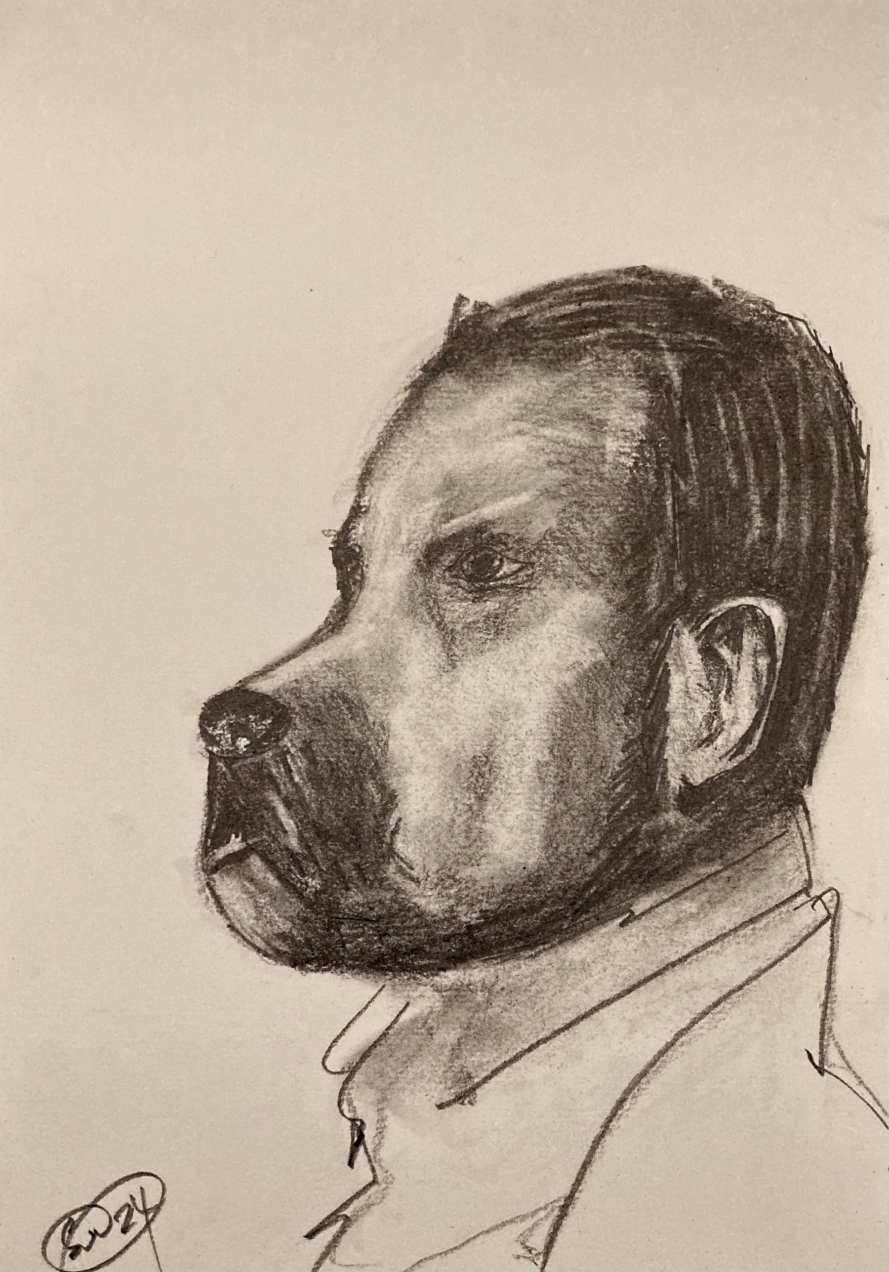 Images – Stephen J. Williams